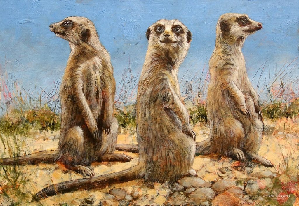 David C Lyons | Jo Bennett